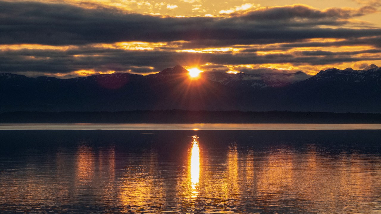 Viking TV - John Turkington | Viking.TV